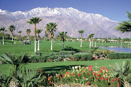 Desert Paradise - Metro Weekly