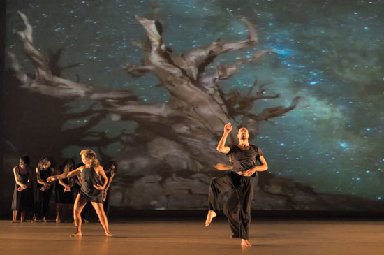 Rousseve's Reality - Metro Weekly