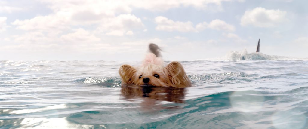 The Meg 4 Courtesy of Warner Bros. Pictures - Metro Weekly