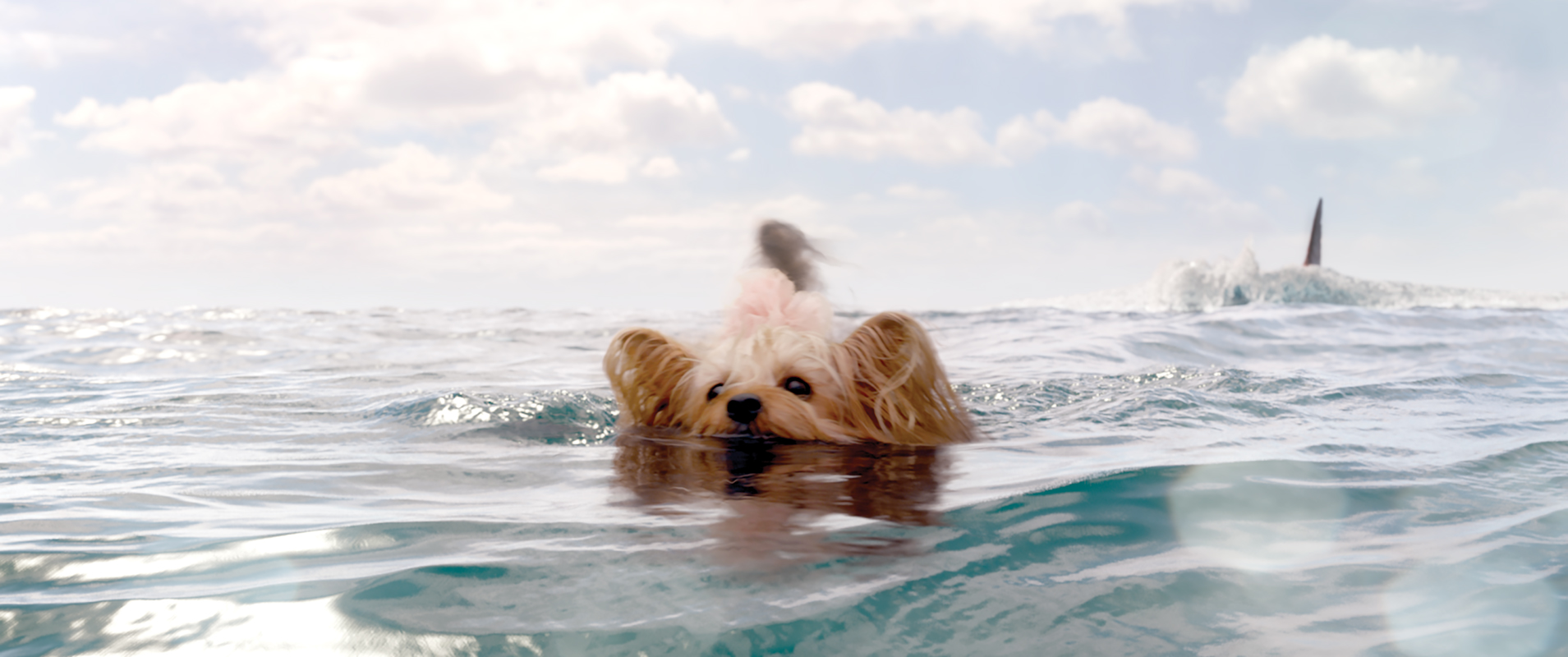 The Meg 4 Courtesy of Warner Bros. Pictures - Metro Weekly