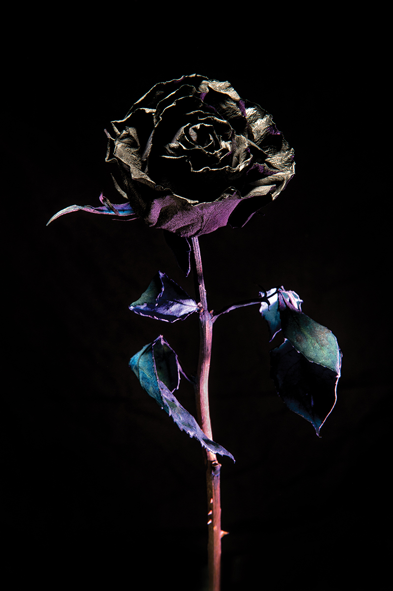 Todd Franson DC Center September 2019 Closing - Black Rose - Metro Weekly