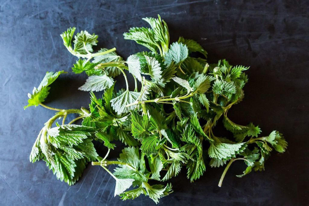 SPOTLIGHT Atlas Obscura Herb5 Metro Weekly spotlight-atlas-obscura-herb5-metro-weekly