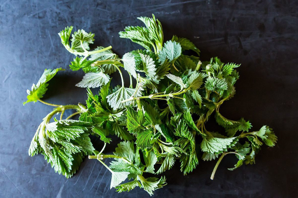 SPOTLIGHT Atlas Obscura Herb5 Metro Weekly spotlight-atlas-obscura-herb5-metro-weekly