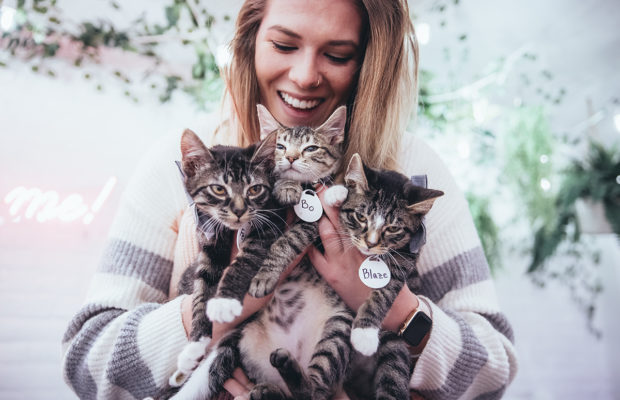 Pets Archives - Metro Weekly