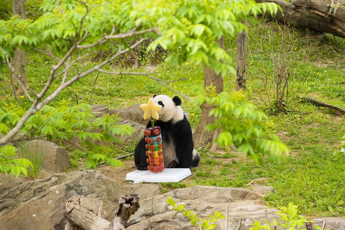 Equality Day 2018 - Metro Weekly