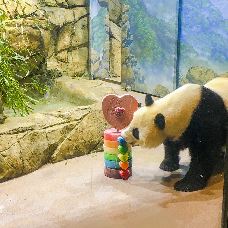 Capital Pride Alliance announces Heroes and other award winners - Metro ...