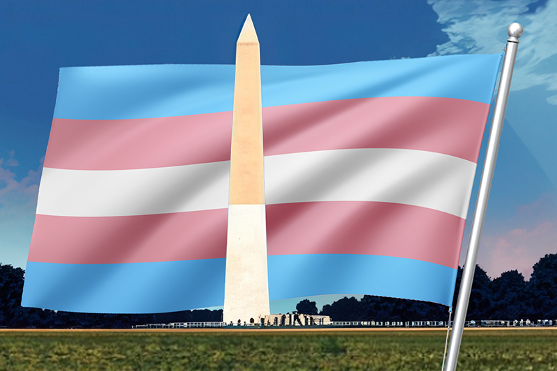 Trans Rally 2024 (Illustration: Todd Franson) - Metro Weekly